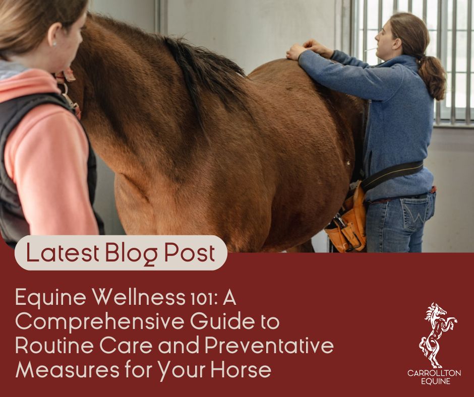 Equine Wellness 101: A Comprehensive Guide to Routine Care and ...