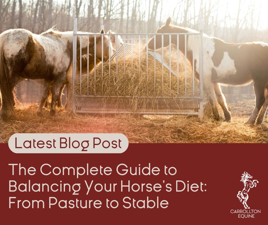 The Complete Guide to Balancing Your Horse's Diet: From Pasture to Stable