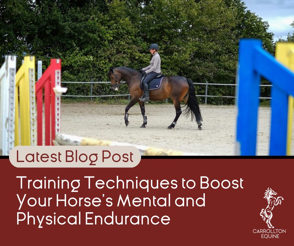 Training Techniques to Boost Your Horse’s Mental and Physical Endurance